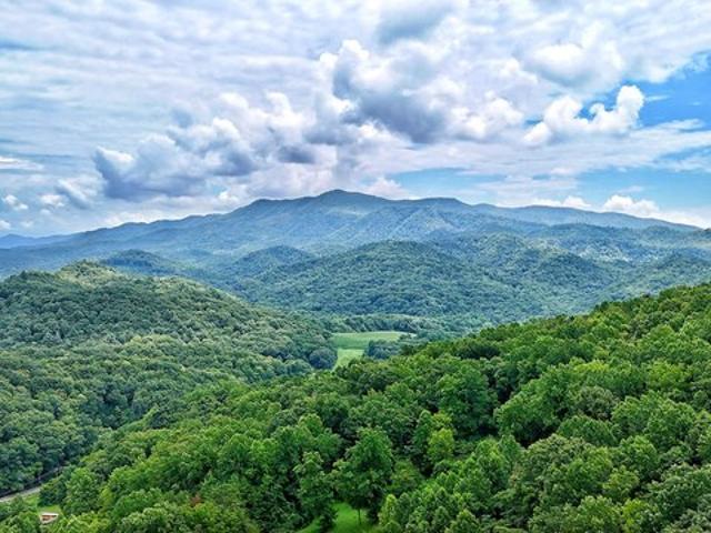 S Highway 340 Lot 50, Parrottsville, TN 37843
