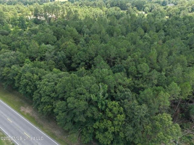 S Highway 43, Picayune, MS 39466