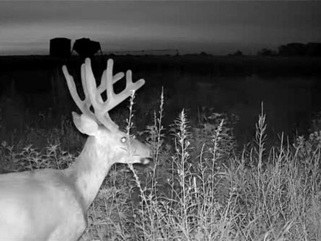 S Hoch Rd, Osage City, KS 66523