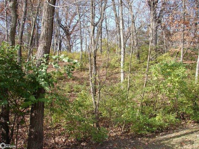 S Hoaglin Dr Lot 1, Mount Pleasant, IA 52641