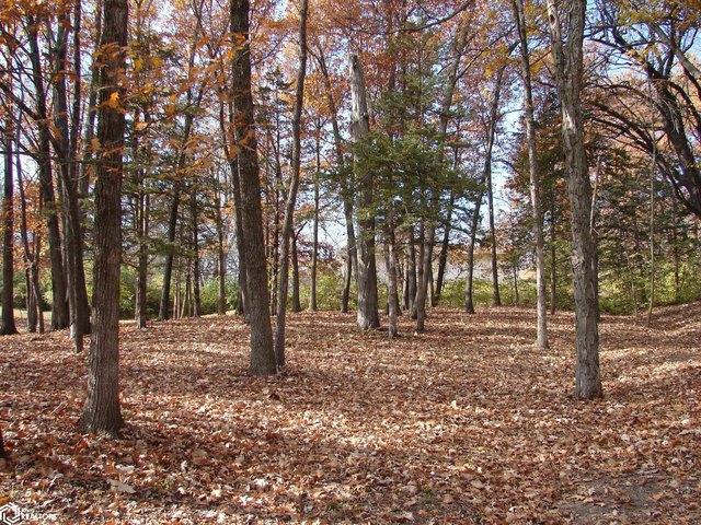 S Hoaglin Dr Lot 3, Mount Pleasant, IA 52641