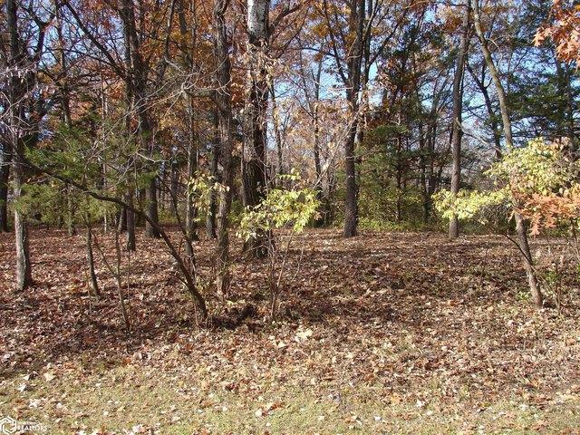 S Hoaglin Dr Lot 4, Mount Pleasant, IA 52641