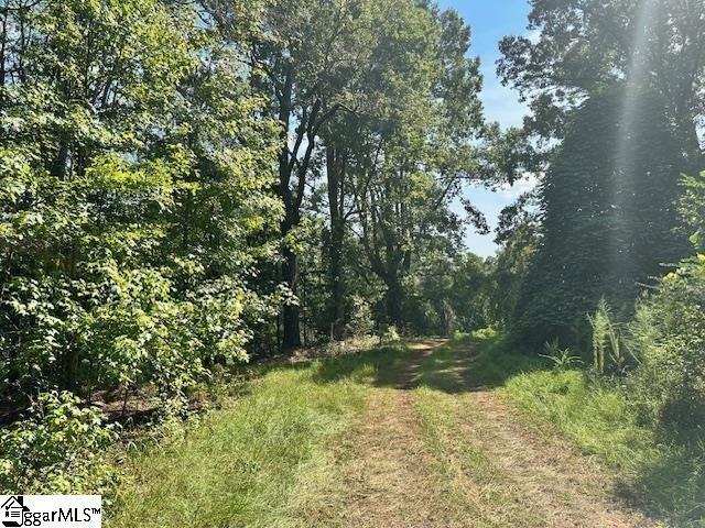 S J Workman Hwy, Woodruff, SC 29388