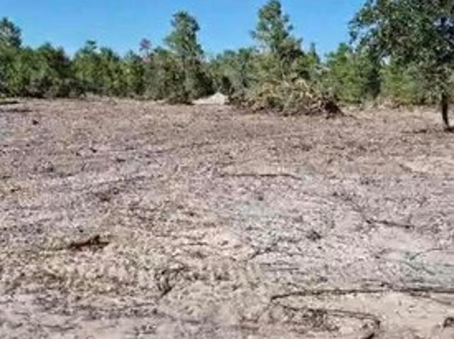 S Jackson St, Lake Wales, FL 33859