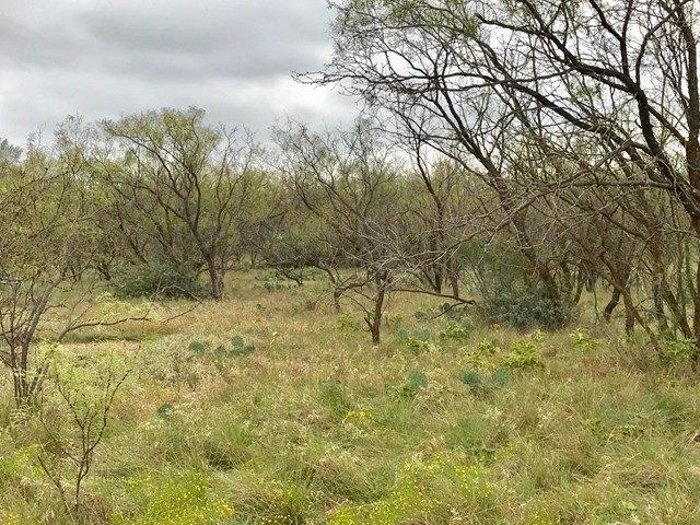 S Jameson Rd, San Angelo, TX 76901