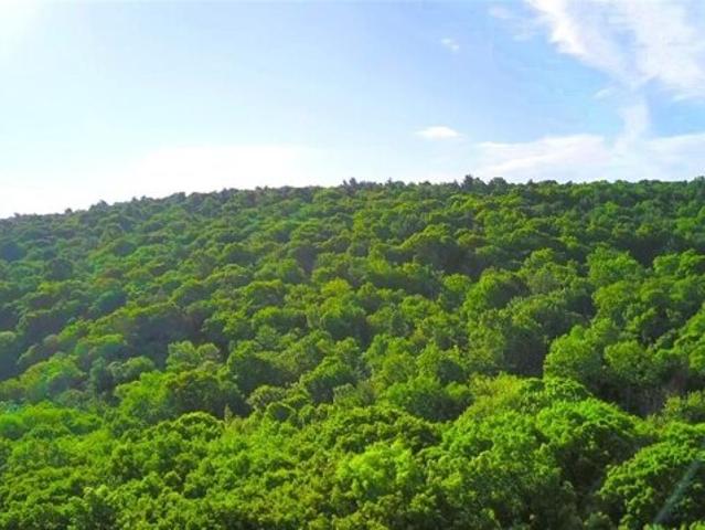 S Jensen Rd, Vestal, Plot For Sale