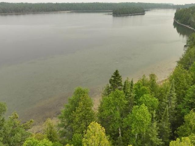 S Jones Lake Rd, Drummond Island, MI 49726