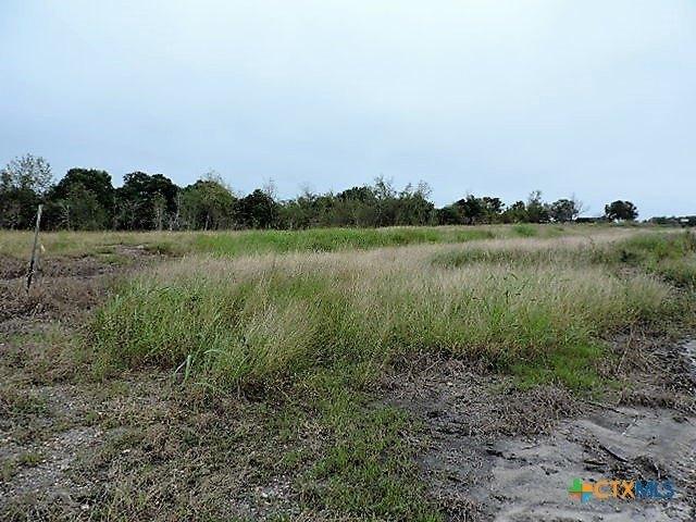 S Lee Lot 1 20, Westhoff, TX 77994