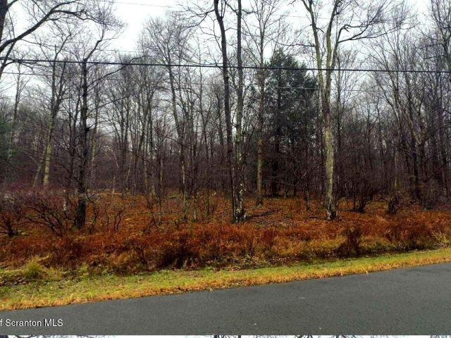 S Lehigh River Drive