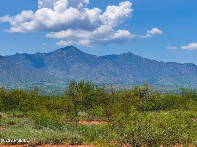 S Paloma 4 47 Acres Trl Lot 3, Hereford, AZ 85615