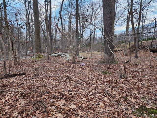 S Pascack Rd, Spring Valley, Plot For Sale