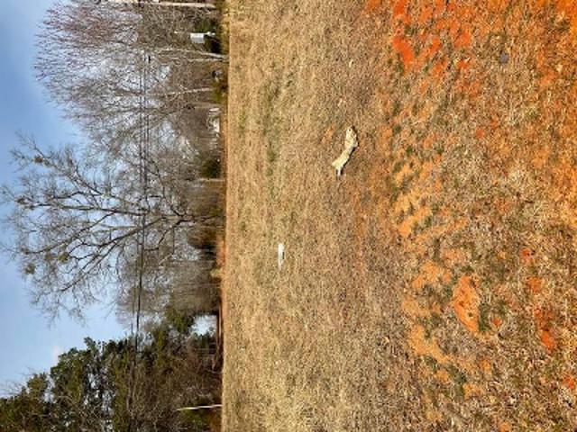 S Pea Ridge Rd