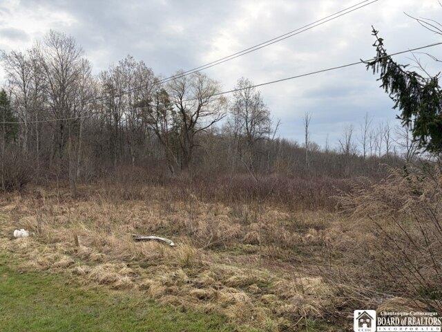 S Pearl St, Frewsburg, Plot For Sale