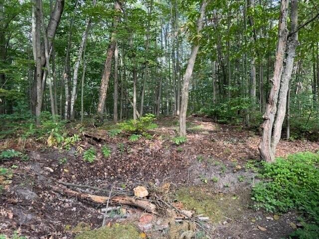 S Perch Lake Dr Lot 4, Gaylord, MI 49735