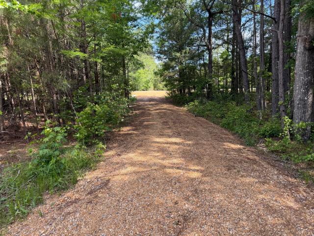 S Perkins Road, Columbus, MS 39705