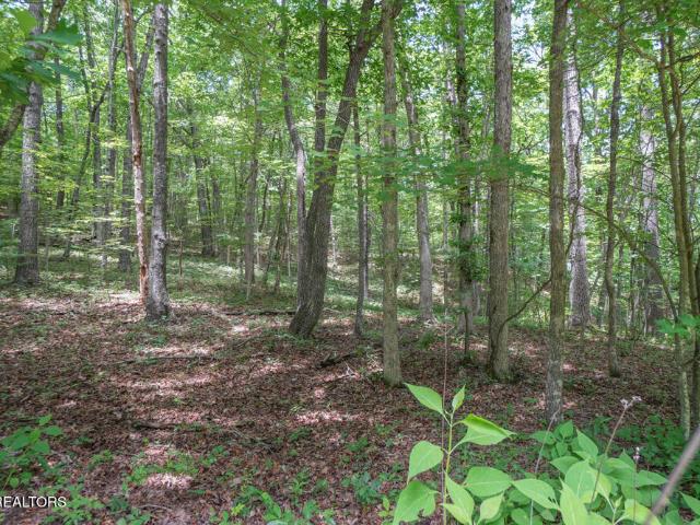 S Peterson Rd, Tallassee, TN 37878
