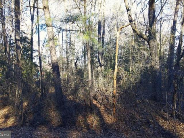 S Piney Point Rd, Bishopville, Plot For Sale