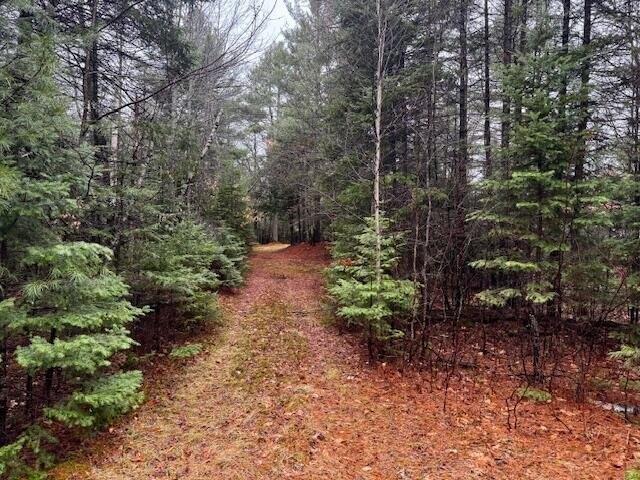 S Plan Long Falls Dam Rd Lot,lexington Township, Plot For Sale