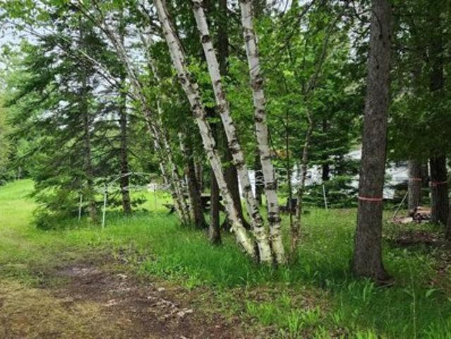 S Point Aux Frenes Rd, Goetzville, Plot For Sale