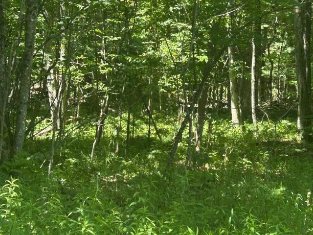 S Point Lookout Road # Lot 57