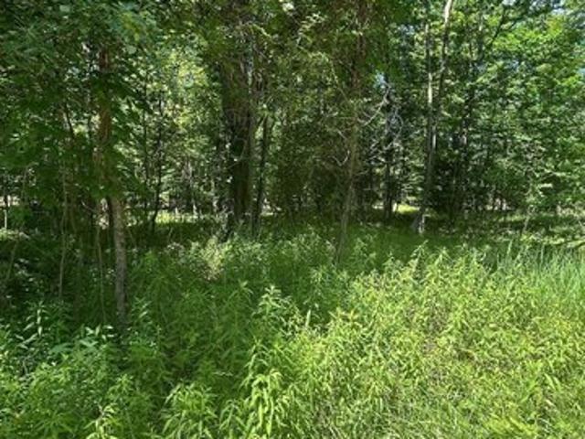 S Point Lookout Rd Lot 57, Au Gres, MI 48703