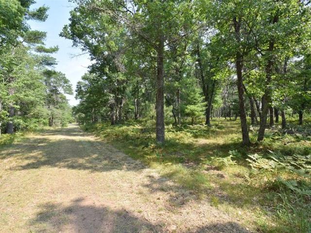 S Point Trl Lot 5, Danbury, WI 54830