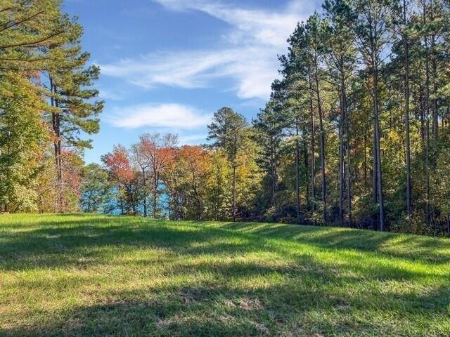 S Pointe Cv, Lincolnton, Plot For Sale