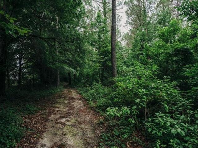 S Pontotoc Rd, Pontotoc, MS 38863