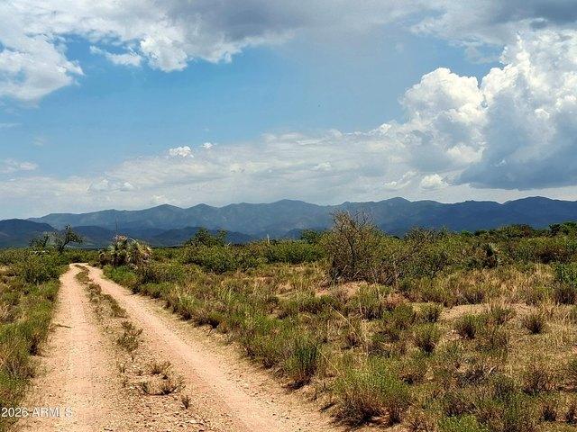 S Poppy Ln Unit 30, Pearce, AZ 85625