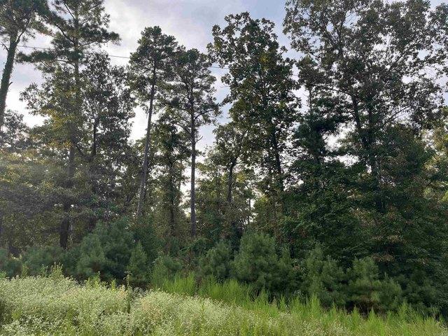 S Power Line Rd, Murfreesboro, AR 71958