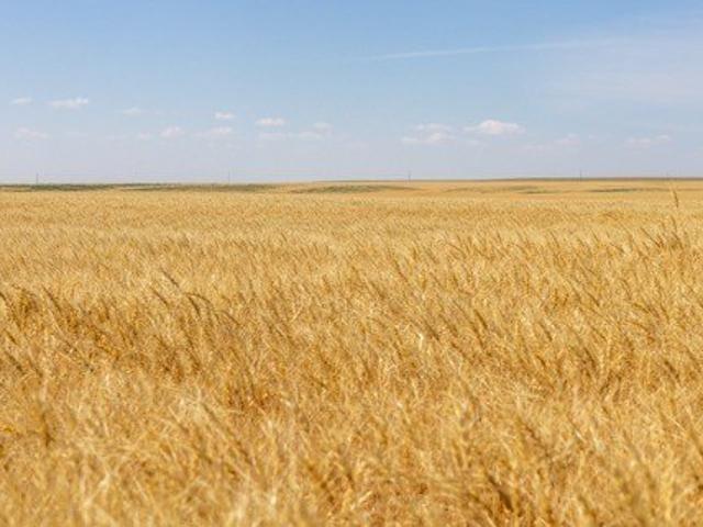 S Rd # 90, Chester, MT 59530