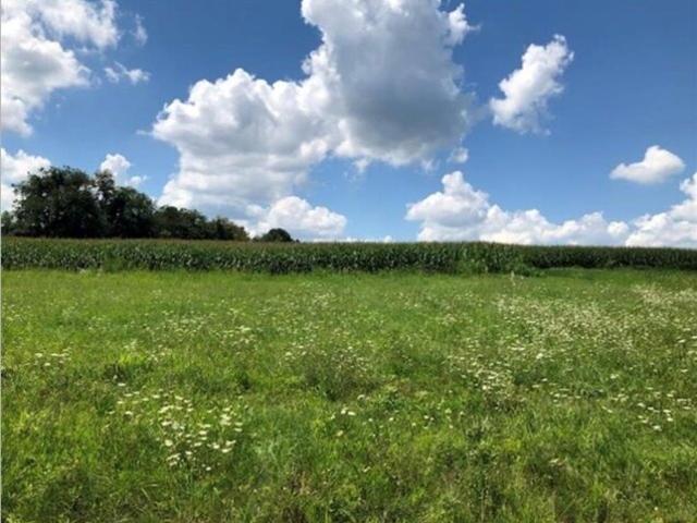 S Rebecca St, Saxonburg, Plot For Sale