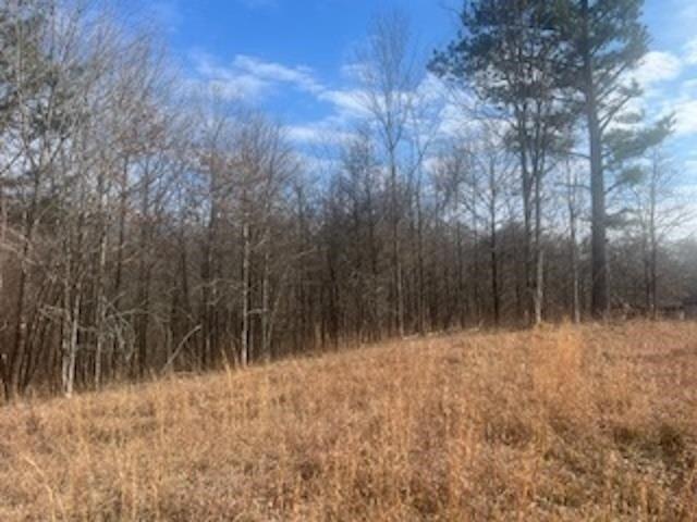 S Red Banks Rd, Byhalia, MS 38611