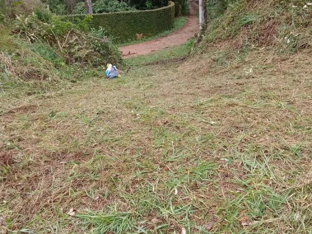 Só Restam 5 unidades! Vendo, permuto ou Troco lotes na Natureza