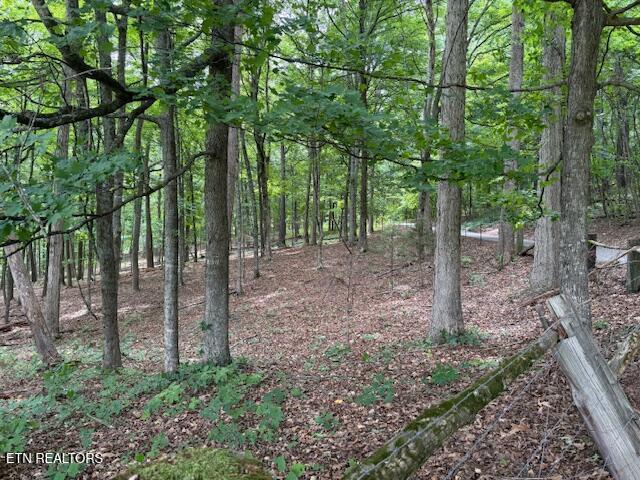 S Ridge Crest Rd, Luttrell, TN 37779