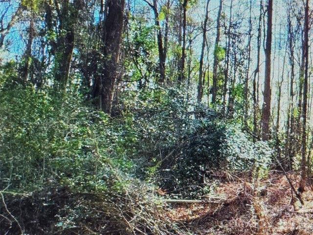 S Rollins Dr, Kershaw, SC 29067