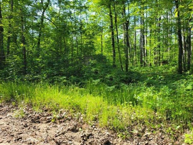 S Ross Rd, Barton City, MI 48705