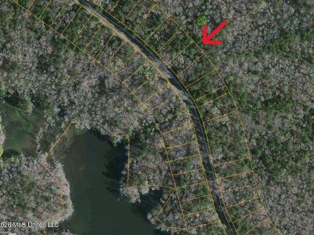 S Ross Rd Lot 29, Utica, MS 39175