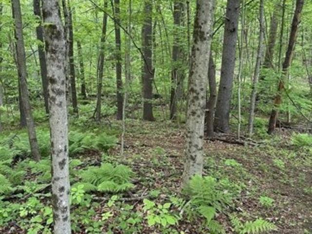 S Royalston Rd, Royalston, Plot For Sale