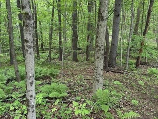 S Royalston Rd, Royalston, Plot For Sale