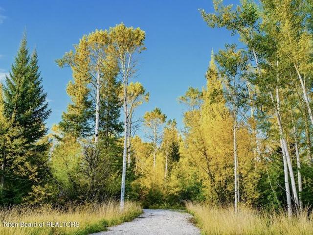 S State Line Rd, Alta, WY 83414