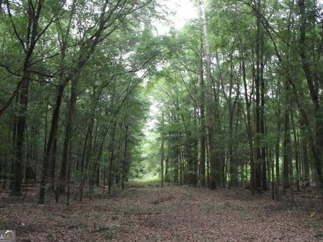 S State Route 49 Rd, Oglethorpe, GA 31068
