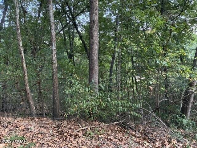 S Scenic Ave Unit 5, Joplin, MO 64804