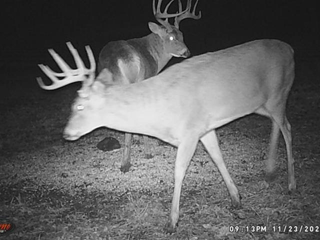 S Shawnee Heights Unit 160 Ac M/L Rd Parcel 2, Quenemo, KS 66528