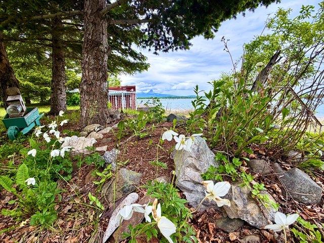 S Shore Duck Lake Rd Lot 14, Babb, MT 59411