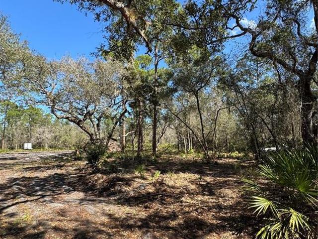 S Shore Dr, Lake Wales, FL 33898 | MLS #S5144 | Compass
