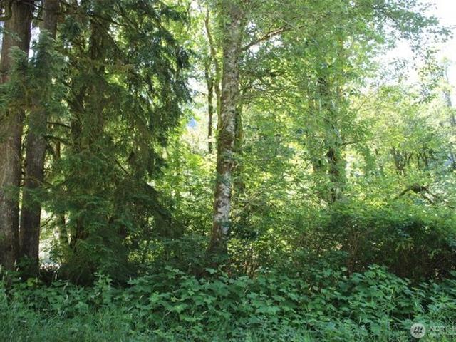 S Shore Dr Lot 30, Mount Vernon, WA 98274