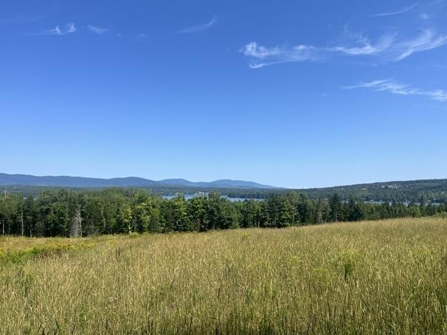 S Shore 1A Dr Lot 44, Rangeley Plt, ME 04970