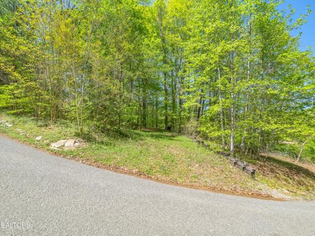 S Shorewood Dr Lot 51, Caryville, TN 37714
