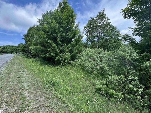 S Ski View Cir Lot,cedar, Plot For Sale